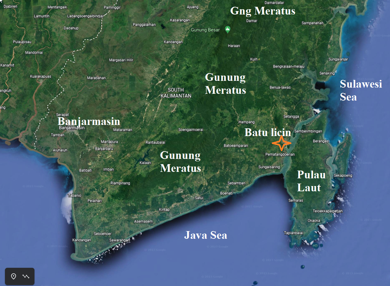 Ficus apiocarpa, Batu Licin, South Kalimantan – THE FIGS OF BORNEO