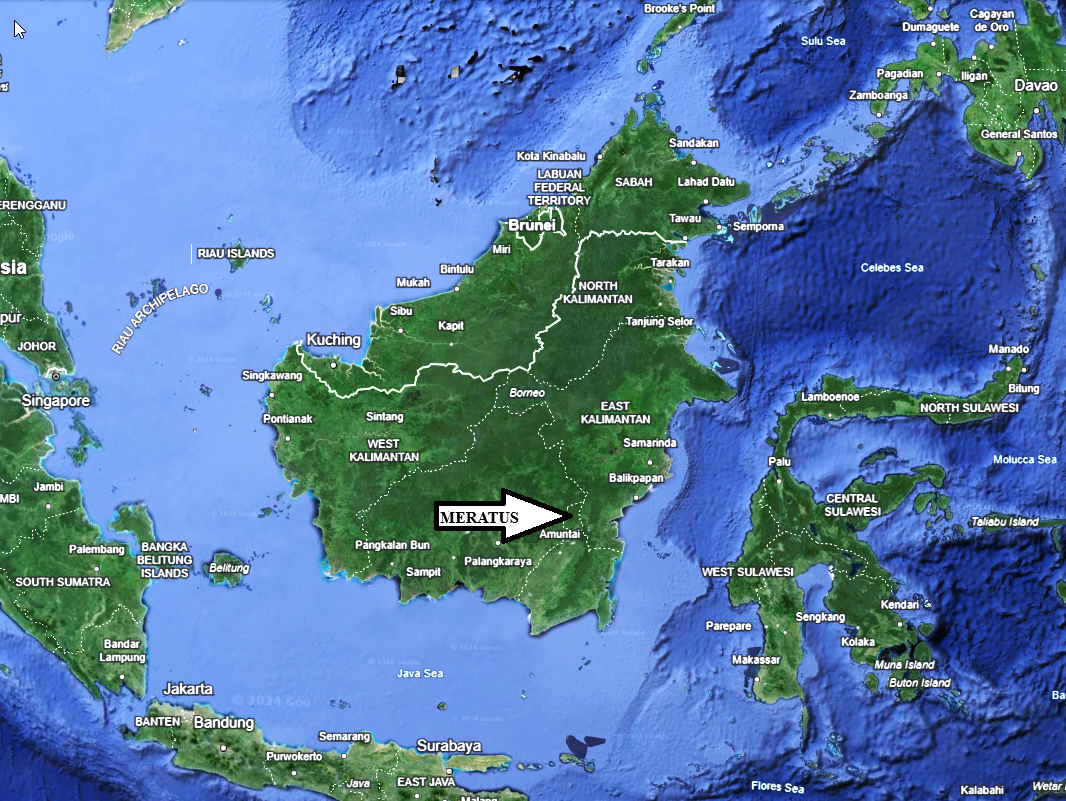 Ficus altissima : First record for Borneo – THE FIGS OF BORNEO